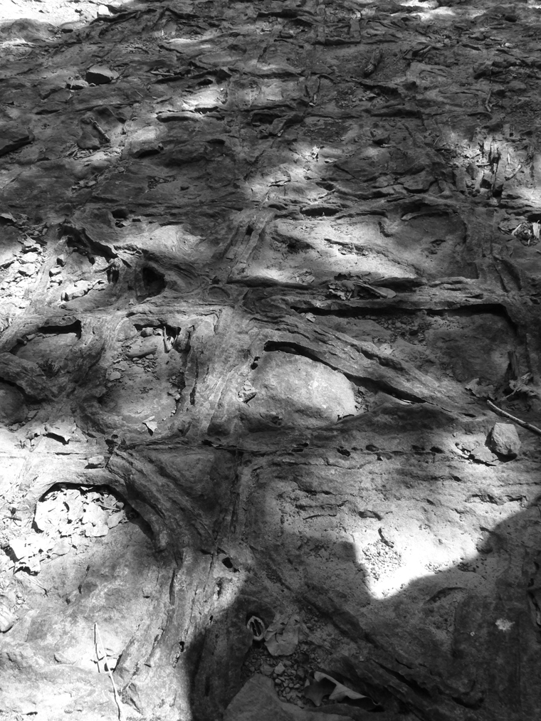 Devil’s Tea Cozy. | Sandwich Control Devil’s Tea Cozy. | CONTROLLING ...