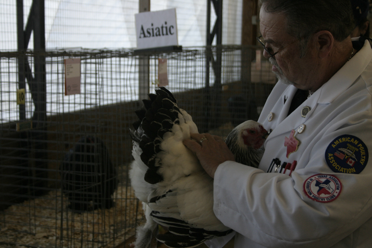 Judge Pat Malone. | Sandwich Control Judge Pat Malone. | CONTROLLING ...