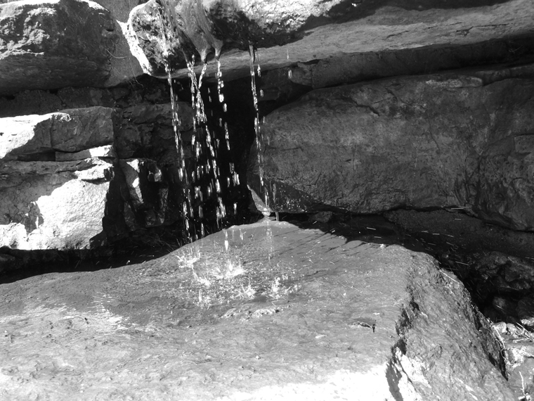 Trickle. | Sandwich Control Trickle. | CONTROLLING YOUR TOMORROWS